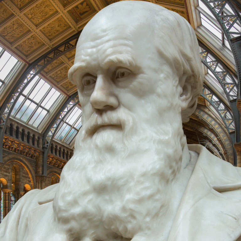 A kids’ guide to Charles Darwin and the story of evolution