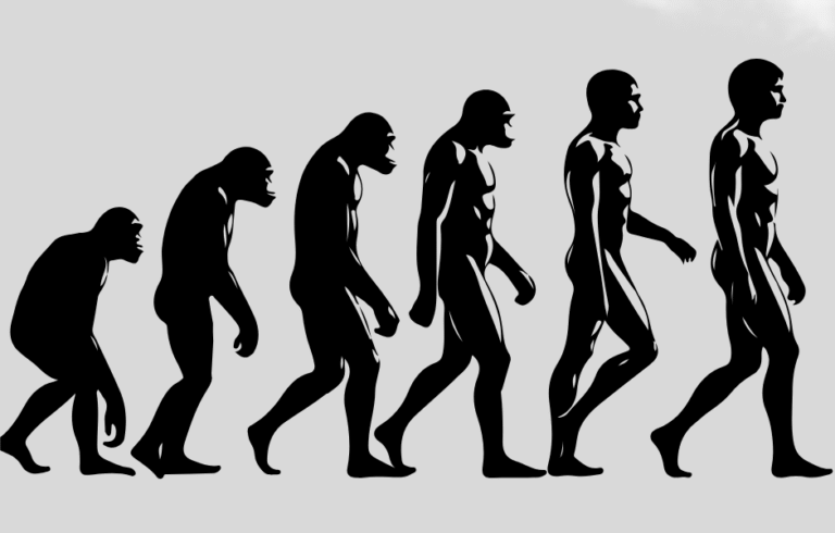 A kids’ guide to Charles Darwin and the story of evolution