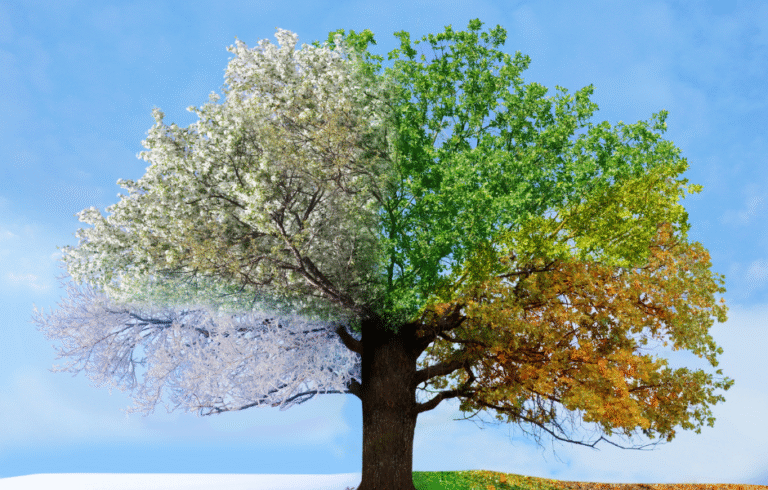 A kids’ guide to the seasons. Weather changes through the year