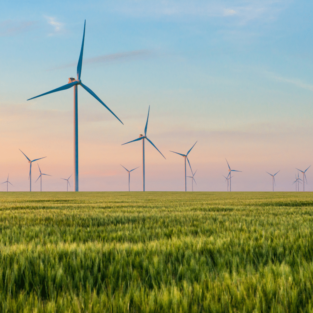 What are windmills? A kids’ guide to wind power through time